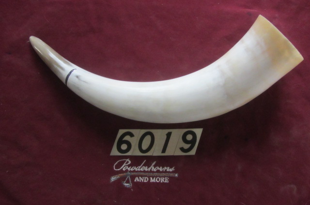 Premium Polished Horns Archives - Powderhorns and More